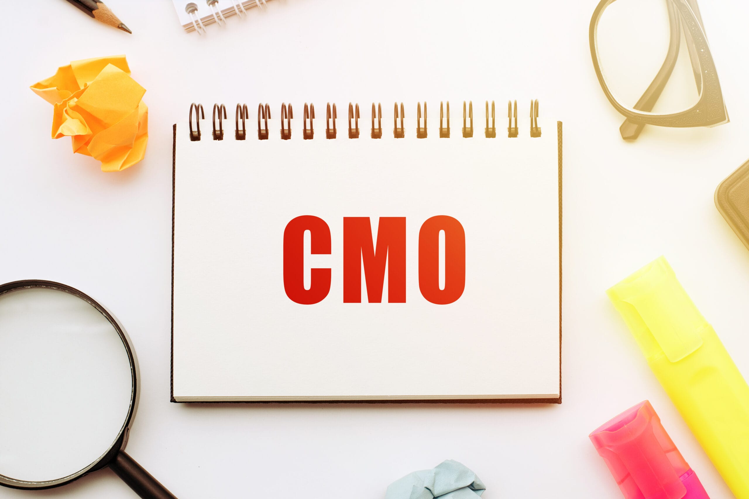 Why Implementation Matters for Fractional CMOs Why Implementation Matters for Fractional CMOs